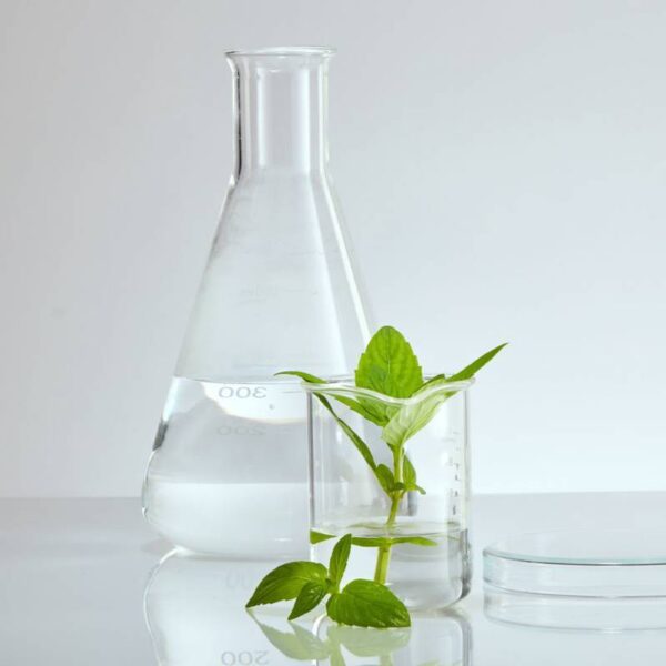 Reed Diffuser oil Supplies - Supplies for Candles